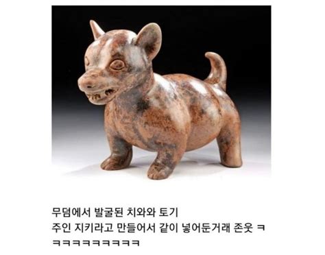 고대 중세 현대 치와와 인스티즈instiz 이슈 카테고리