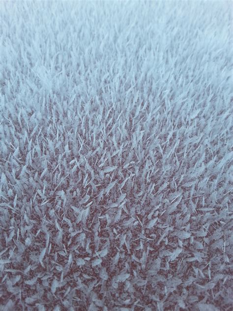 무료 이미지 자연 감기 겨울 조직 얼음 무늬 날씨 눈이 내리는 쌀쌀한 결정 짓다 동결 핀란드어 바닥 의 구조 서리 패턴 비오는 날 D 꽃