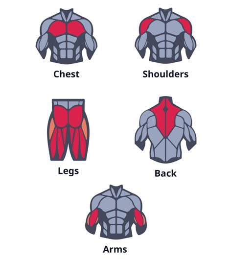 5 Day Pplul Split Push Pull Legs Upper Lower Gym Geek