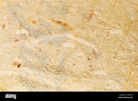 Curved Surface Displays Intricate Patterns And Textures Resembling Natural Elements The Warm