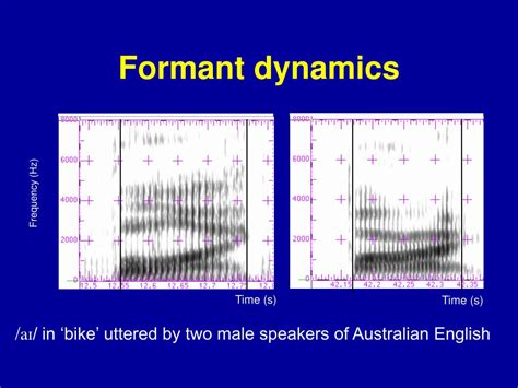 Ppt Dynamic Formant Dynamics And Individual Speaker Characterization Powerpoint Presentation
