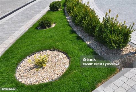 Desain Lansekap Di Taman Taman Alunalun Area Rekreasi Foto Stok Unduh