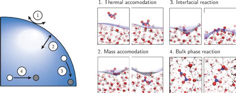 Figure 1 From Molecular Insights Into Chemical Reactions At Aqueous Aerosol Interfaces