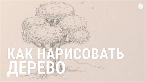 Как нарисовать дерево Youtube