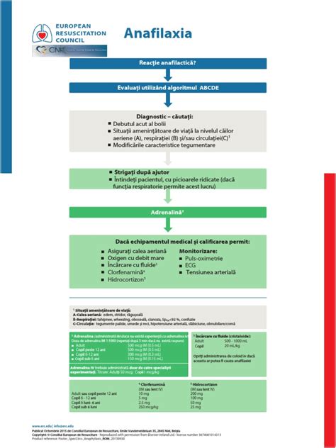 Poster Speccircs Anaphylaxis Treatment Algorithm Pdf