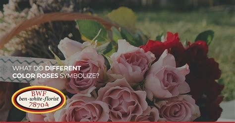 What Do Diffe Color Roses Symbolize Infoupdate Org