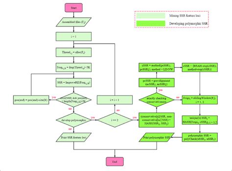 Internal Implementation Algorithm Of Simple Sequence Repeat Molecular Download Scientific