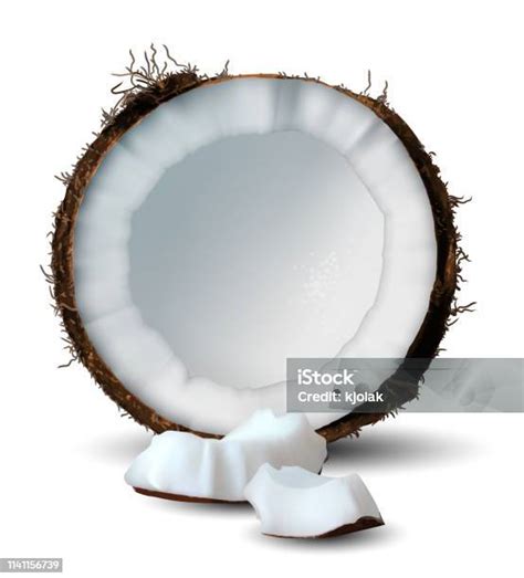 흰색 바탕에 코코넛과 그것의 몇 가지 조각을 잘라 3d 벡터입니다 높은 상세한 현실적인 그림 코코넛에 대한 스톡 벡터 아트 및 기타 이미지 Istock