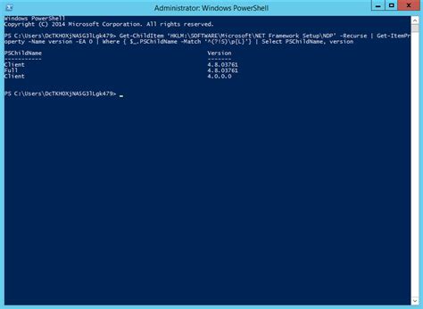 Checking Your Net Version