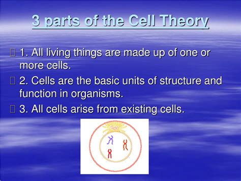 Ppt Cell Structure Function And Macromolecules Powerpoint Presentation Id 9473315