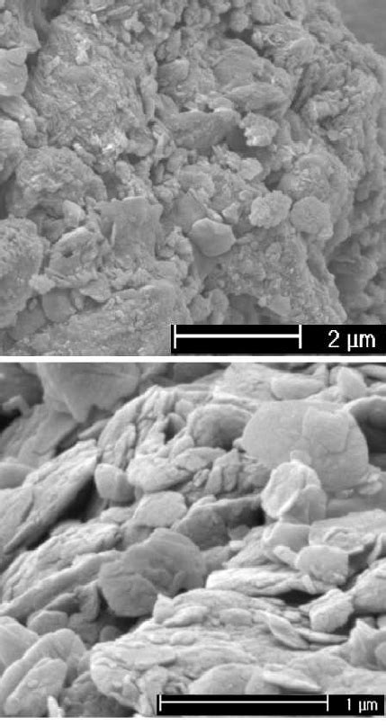 Close Ups Of Particle Surfaces Covered By Small Flake Like Particles