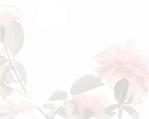 Dr Lisa M Jukes Modern Womens Health