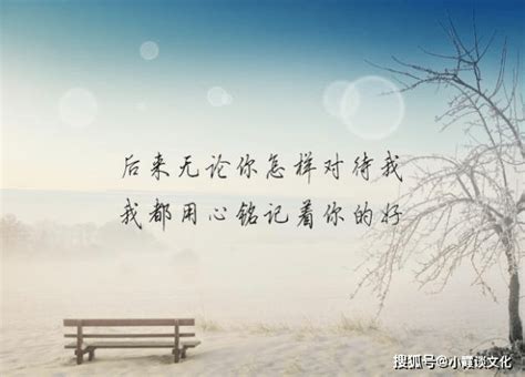 关于青春的情感语录现实感情扎心语录 爱情