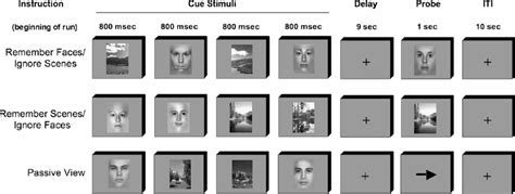 Experimental Design The 3 Task Conditions Differ Only In The Download Scientific Diagram