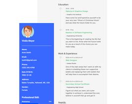 Bootstrap Resume Examples