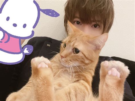 さとみ すとぷり On Twitter 猫の誕生日 すとぷり マンチカン