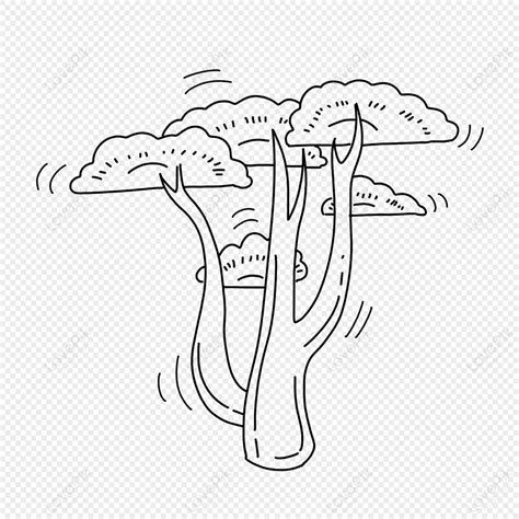 사이프러스 잎 Png 일러스트 및 벡터 이미지 무료 다운로드 Lovepik