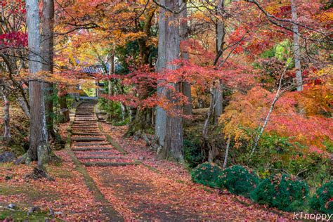 龍穏寺 紅葉 by キノッピー ID10809011 写真共有サイト PHOTOHITO