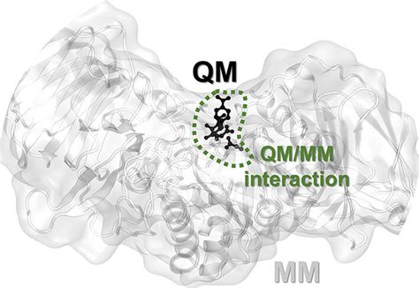 The Two Regions Qm And Mm Involved In Qm Mm Calculations The Mm