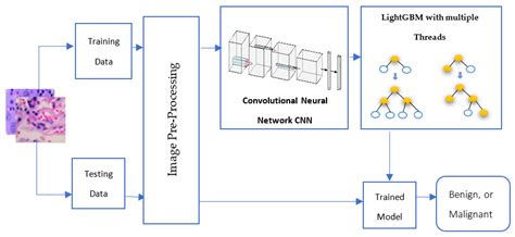 An Efficient Combination Of Convolutional Neural Network And Lightgbm Algorithm For Lung Cancer