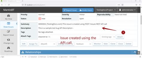 Create Mantis Issue Using Api Updated 2024