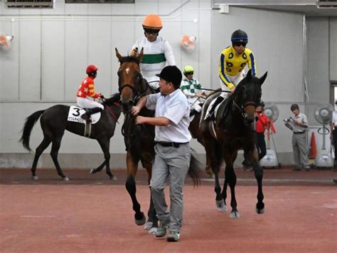 【メイクデビュー中京4rレース後コメント】マイケルバローズ川田将雅騎手ら 競馬ニュース Netkeiba
