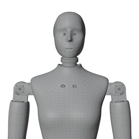 Crash Test Female Dummy 3d Model Turbosquid 2159979