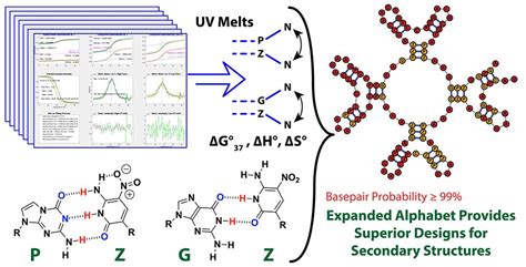 Improved Dna Primerprobeaptamer Structure Design Pipeline