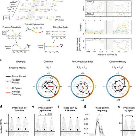 Preferred Firing And Encoding Phase Are Dissociated In Rpe Cells A Download Scientific Diagram