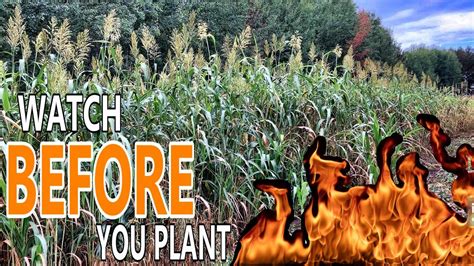 The Problem With Plot Screen Youtube