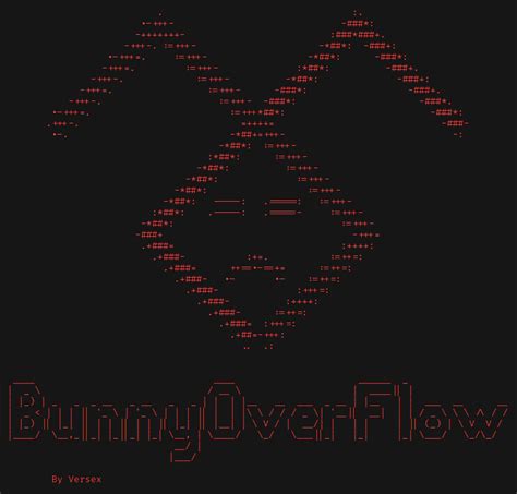 Buffer Overflow Script Bunnyoverflow Hier Thinking Llc