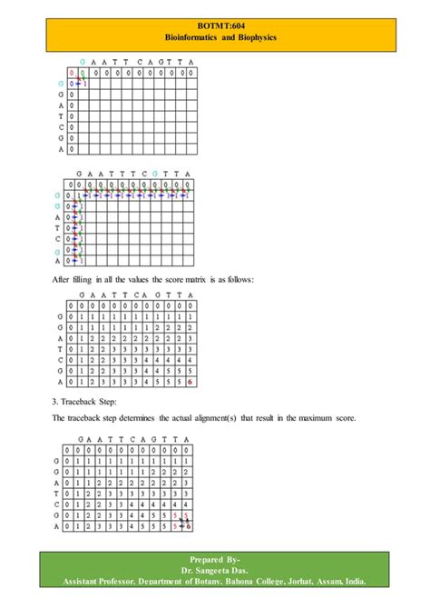Bioinformaticssequence Analysis Docx Programming Languages Computing