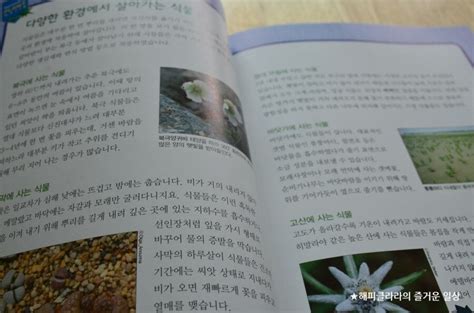 알라딘서재 초등과학학습만화 추천 식물 과학상식도 흥미진진