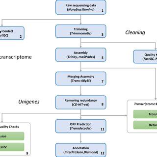 Workflow Of The Bioinformatic Pipeline From Raw Data To Annotated Download Scientific Diagram