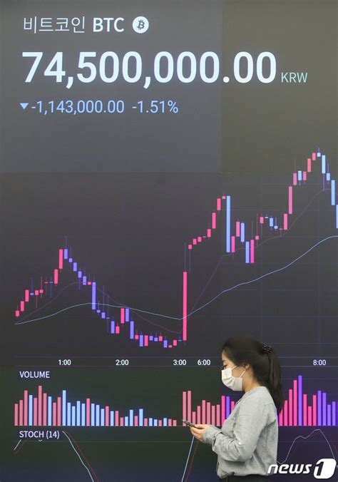 비트코인 하락 네이트 뉴스
