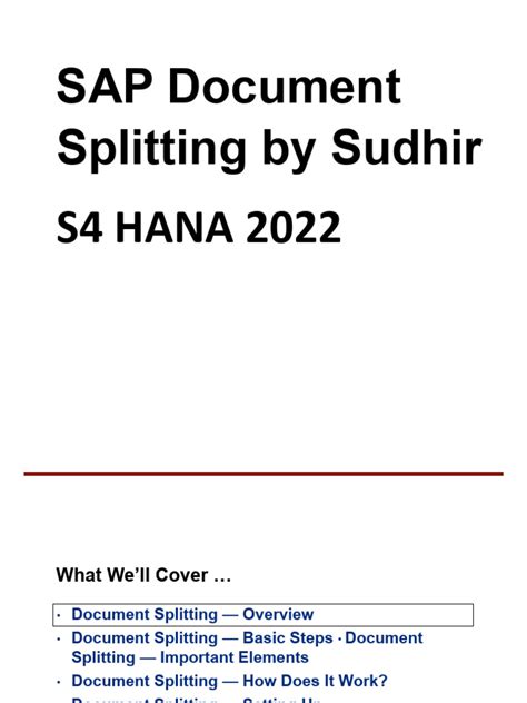 Document Splitting Pdf Expense Revenue