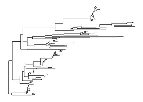 Introducción a phyloseq Diseño experimental y análisis de datos