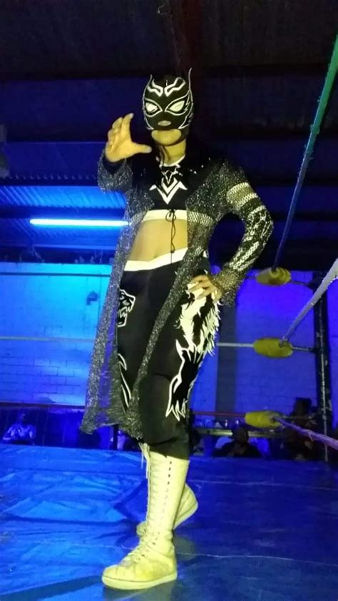 File Queen Panther 2022 Luchawiki File Queen Panther 2022 Luchawiki