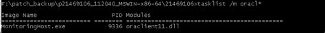 Monitoringhostexe Caused Active Files During Patching Oracle Smarttechways Innovative