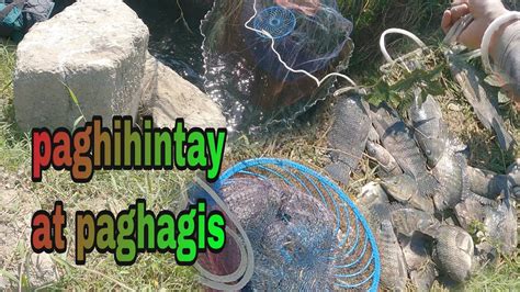 Maliit Na Ilog Puno Ng Tilapia Youtube