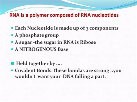 Various Types Rna Pptx