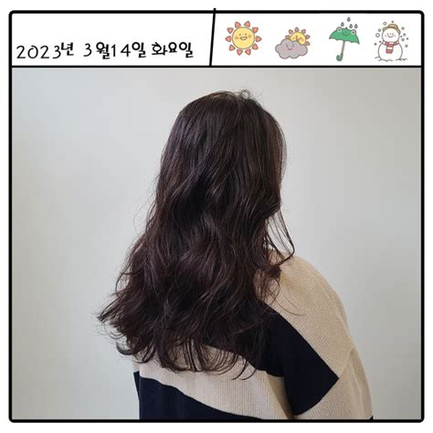 천안 두정동 미용실 하월 빌드펌으로 여신머리 네이버 블로그