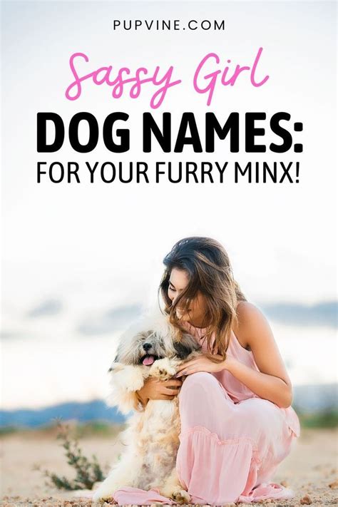 Sassy Girl Dog Names Over 200 Names For Your Furry Minx Artofit