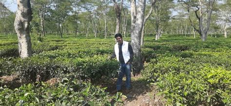 Mukesh Bishnoi On Linkedin Tea Valuation Unraveling The Worth Of