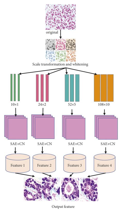 Flow Chart Of The Mpcnn Fast Feature Extraction Method Download