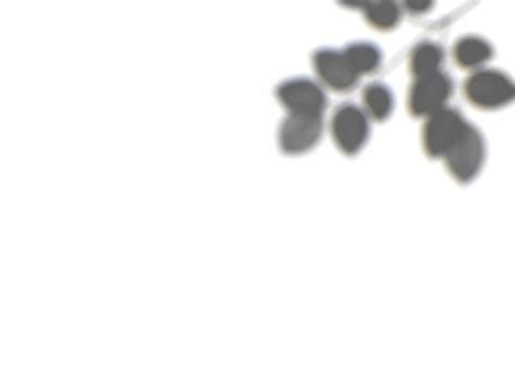 Snoot Effect Images Free Download On Freepik