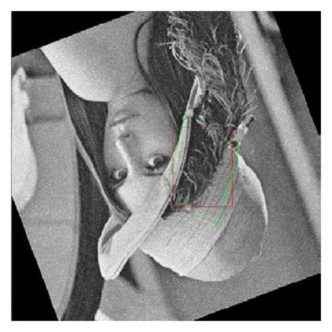 Low Rank Texture Direction For Corruption Image Download Scientific Diagram