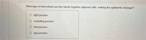 Solved What Type Of Intercellular Junction Bands Together