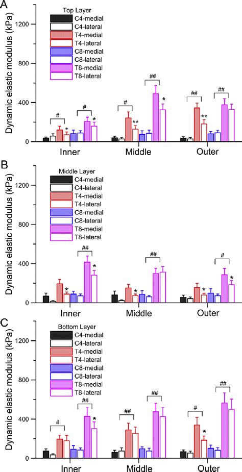A The Comparison Of Average Dynamic Elastic Modulus In The Top Layer Download Scientific
