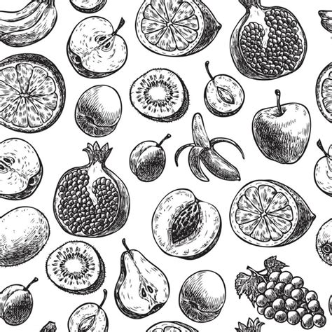 Black Plum Free Stock Vectors